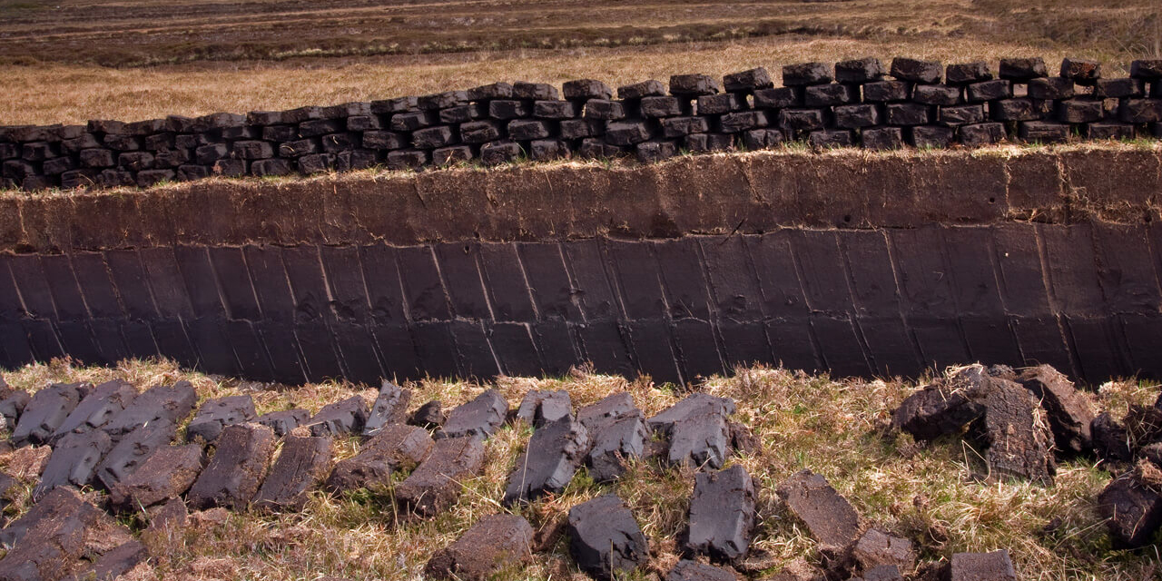 Turbanın gizli gücü: Toprak dünyasında dev devrim!