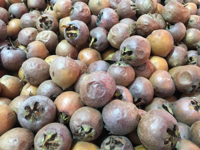 Belki de fiyatı pek değişmeyen tek meyve